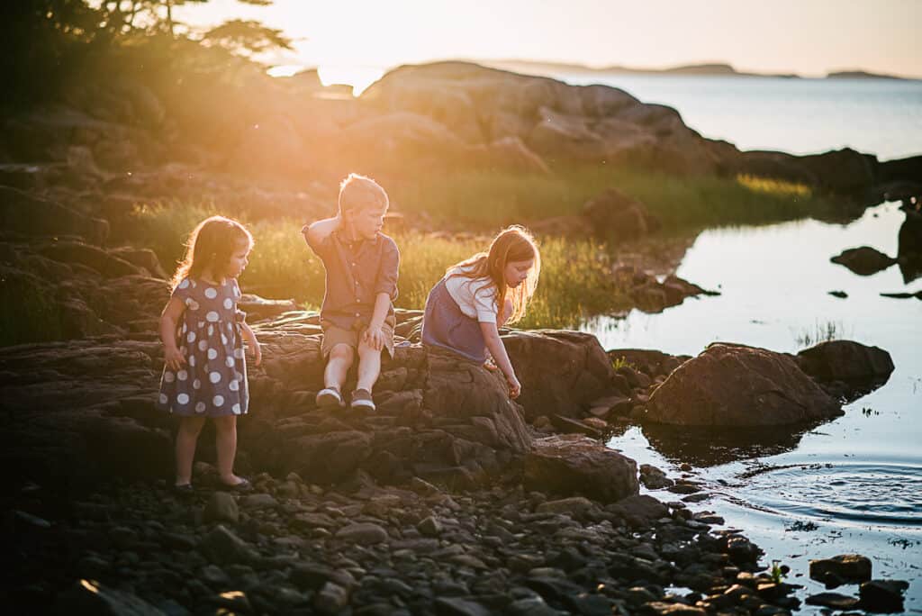 Newfoundland and Labrador Photographer Alex Stead | Alex Stead